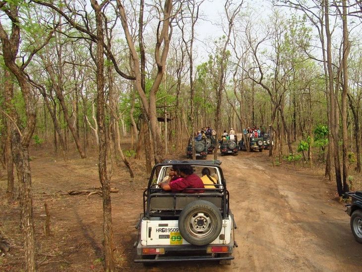Runners from across the country will reach Pench National Park | पेंच ...