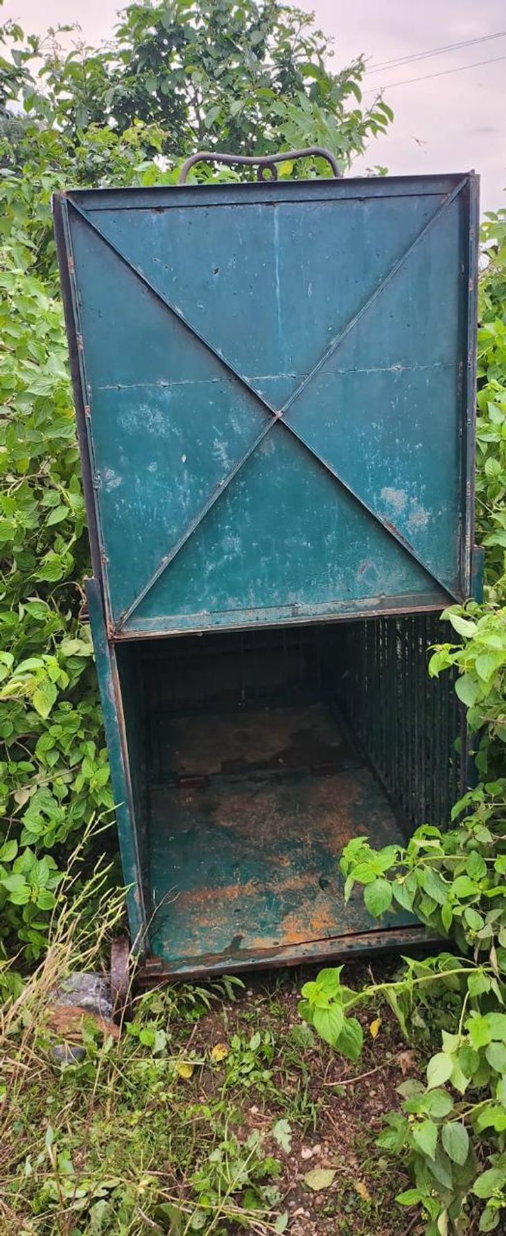 MGGS Kholdi first in role play and MGGS Lasadia first in folk dance ...