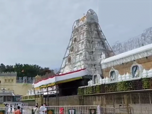 Tirupati laddu row: Madras HC hearing N Chandrababu Naidu | TDP Vs YSRCP | तिरुपति लड्‌डू विवाद ...