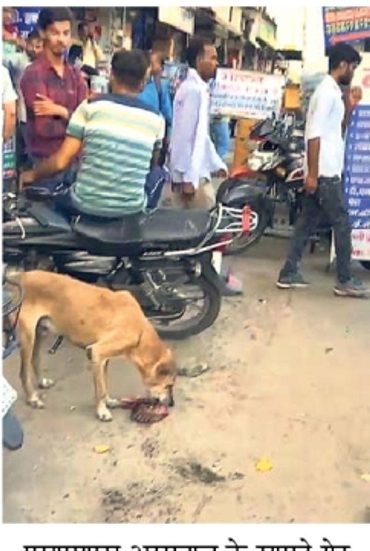 Incident in front of SMS Gate No. 2, video goes viral | एसएमएस के गेट ...