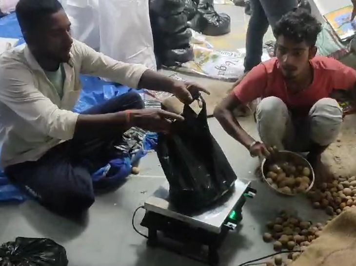 SAHARSA NEWS, BIHAR NEWS, 4 blocks affected by floods due to rise in water level of Kosi | कोशी ...