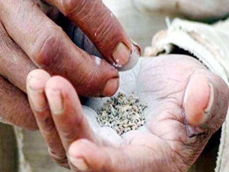 Government will get rid of the addiction of Khaini in Bihar Tobacco ...