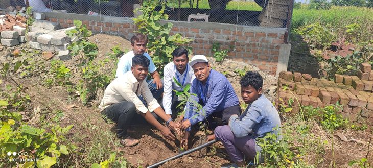 Soil and Land Use Survey of India planted trees with villagers | भारतीय ...