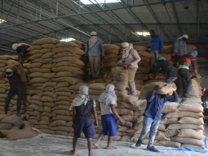 Strike of porter workers ends in Surat