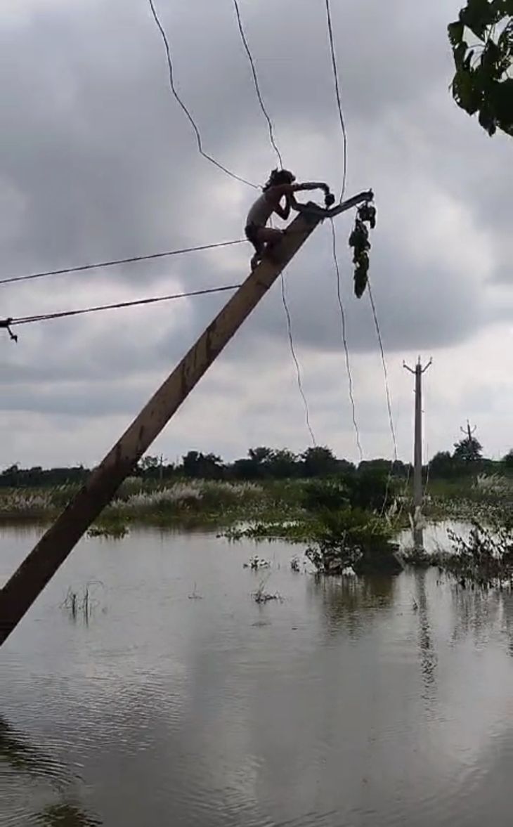 228 poles fell in the flood, 37 transformers drowned, danger from ...