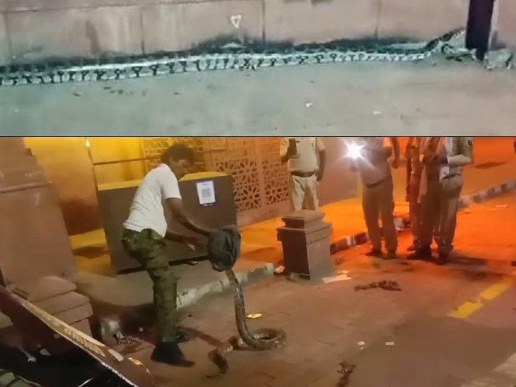 Rajashthan kota A 10 feet long python came near the wall of Dussehra ...