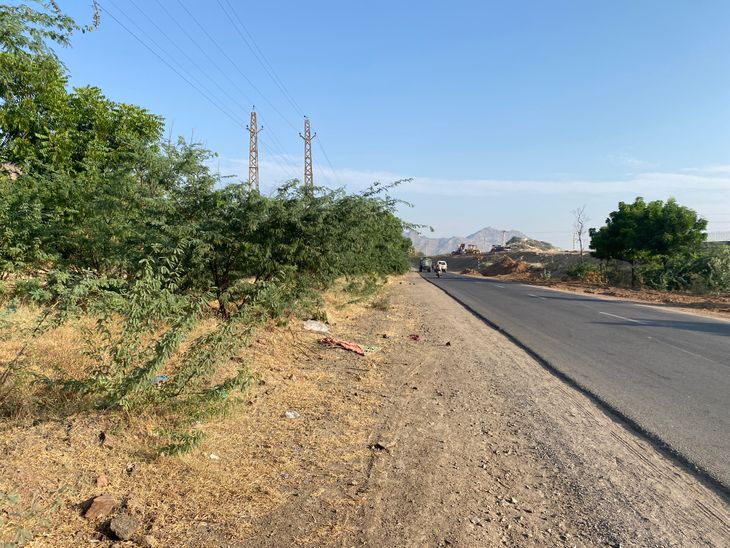 Trouble due to bushes growing along the highway in Mokalsar-Mylavas ...