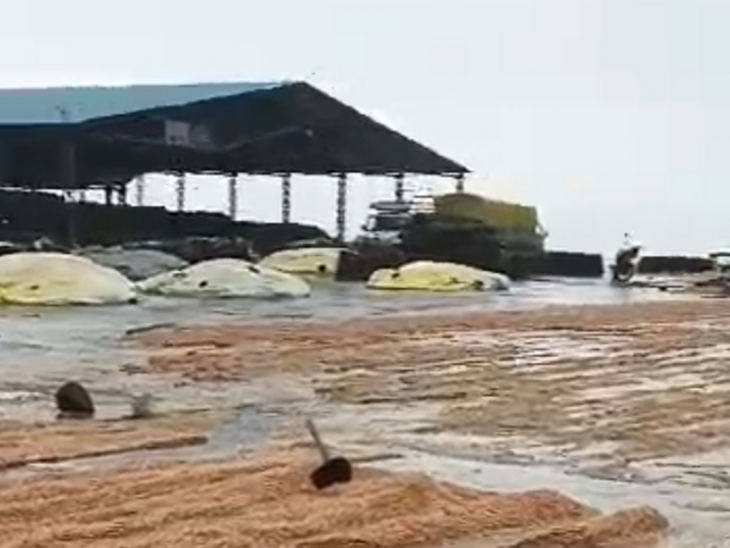 Two and a half inch rain in Mohkhed, Chaurai | छिंदवाड़ा के मोहखेड़ ...