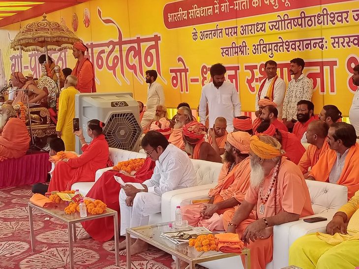 The district's cow servants participated in the cow prestige movement