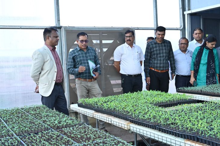 Saw the vegetable plants being prepared in the hi-tech nursery