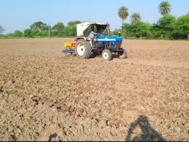 Rabi crops will be sown in 3.45 lakh hectares | 3.45 लाख हेक्टेयर में ...