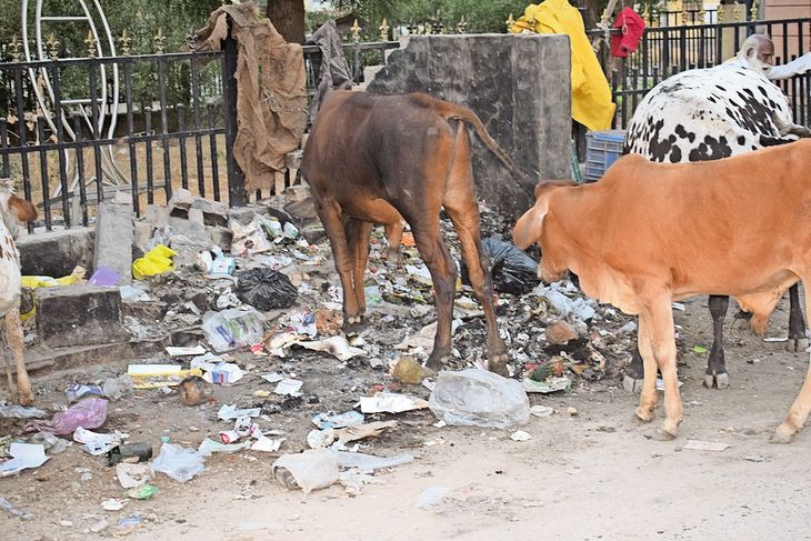 The responsibility of collecting garbage from 60 wards is on 3 ...