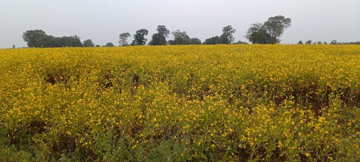 It has started getting cold: The beauty of the valleys increased due to ...