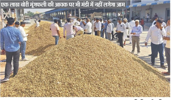Effect of two bids; One thousand heaps of peanuts auctioned in 6 hours ...