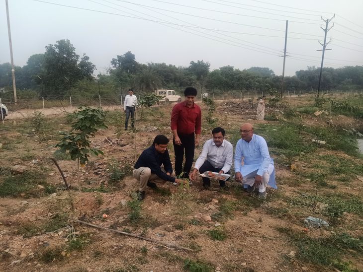 Donated lamps in Oxygen Park | ऑक्सीजन पार्क में किया दीप दान - datia ...