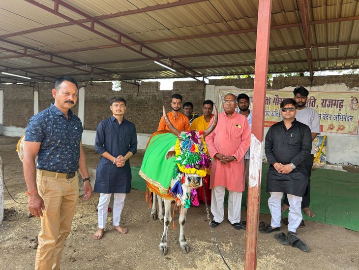Gopa Ashtami: Mother cow was worshipped and tribute was paid to the ...
