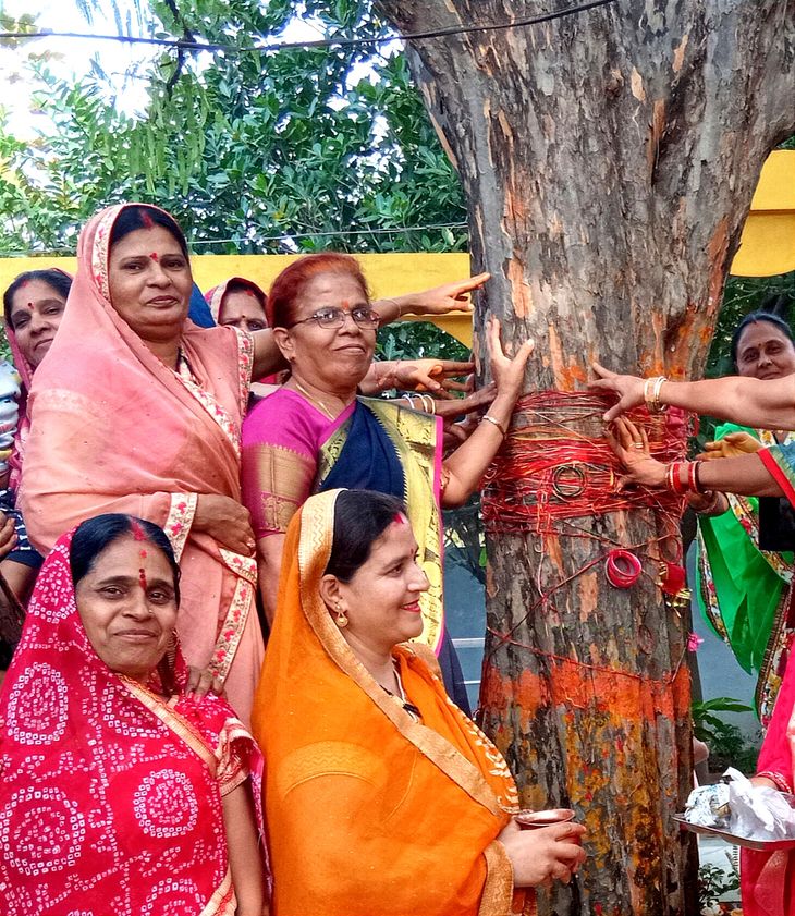 Women worshipped the Amla tree and circumambulated it | महिलाओं ने ...