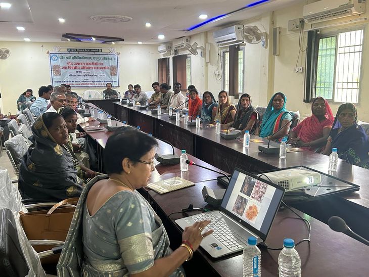 Information given to farmers about extracting gum from trees | पेड़ों ...