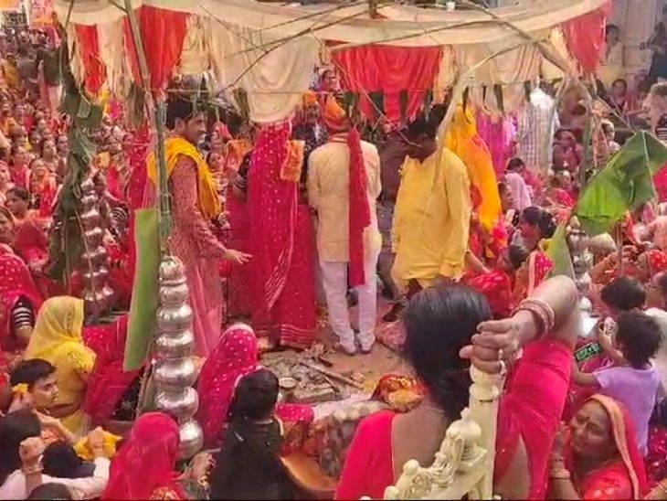Tulsi marriage festival celebrated on Dev Uthani Ekadashi | देव उठनी ...