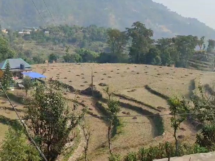 Mandi Farmers facing brunt drought impact on wheat sowing | सूखे की मार ...
