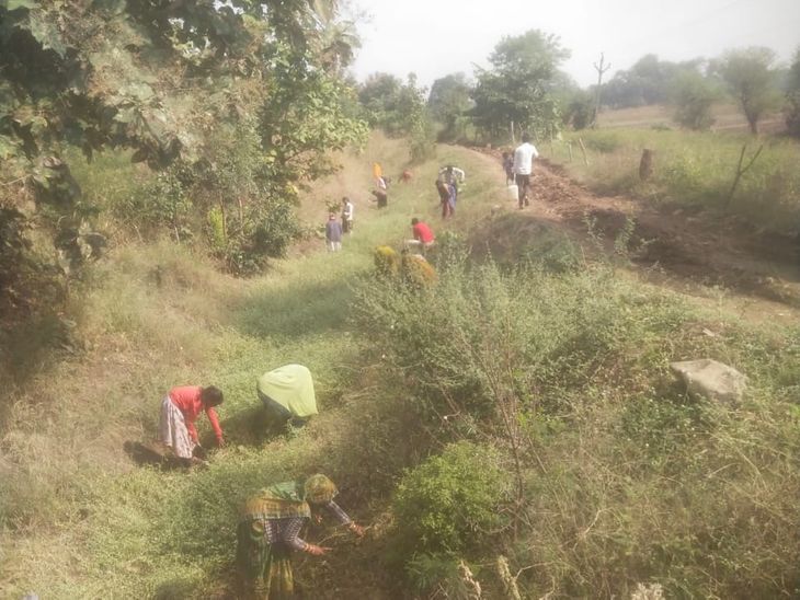 cleaning of canal of rampur dam started | रामपुरा डैम की नहर की सफाई ...