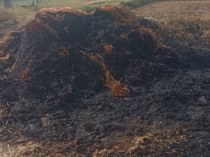 Fire in Babhani field causes crops worth lakhs to turn into ashes ...