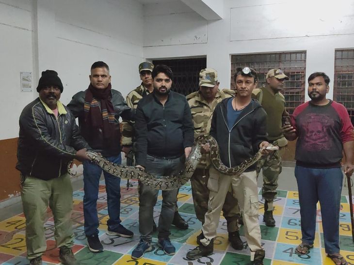 Panic due to appearance of python in Badwah Central School A 12 foot ...