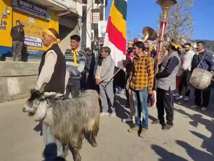 Mandi animals sacrifice Publicly police filed case
