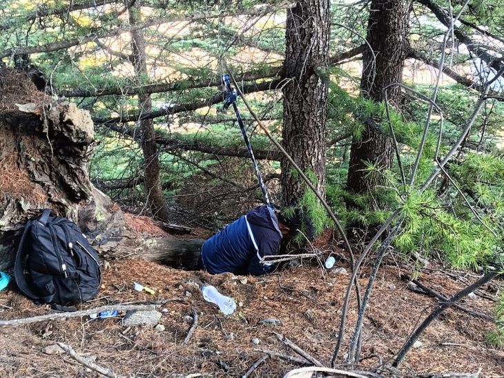 Kinnaur missing man dead body found forest | किन्नौर में लापता युवक की मिली लाश: जंगल में पेड़ ...