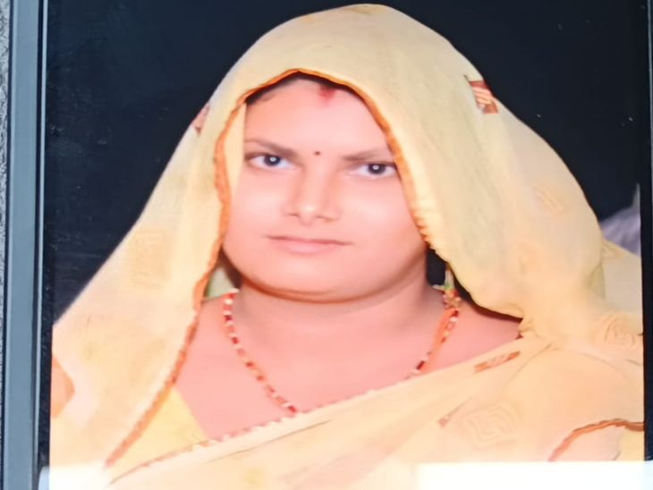 Rajasthan kota While tying the cow, the rope got stuck in the neck of ...