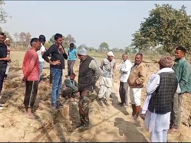 Trees standing on the Chak Road were cut down in Mathura | मथुरा में ...
