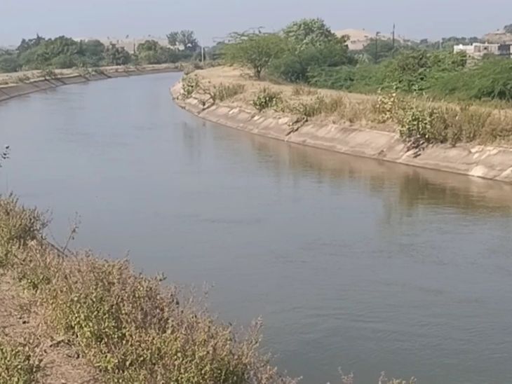 Manawar: Water reached the last end from Omkareshwar Canal Project ...