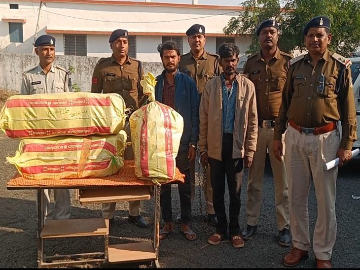 56 kg of ganja seized from the trunk of a luxury car in MCB | लग्जरी ...