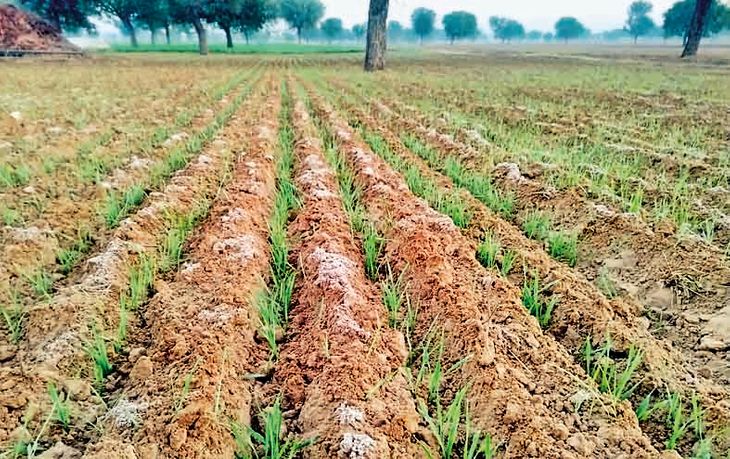 Weather. Night temperature in Loharu was recorded at 3 degrees and ...