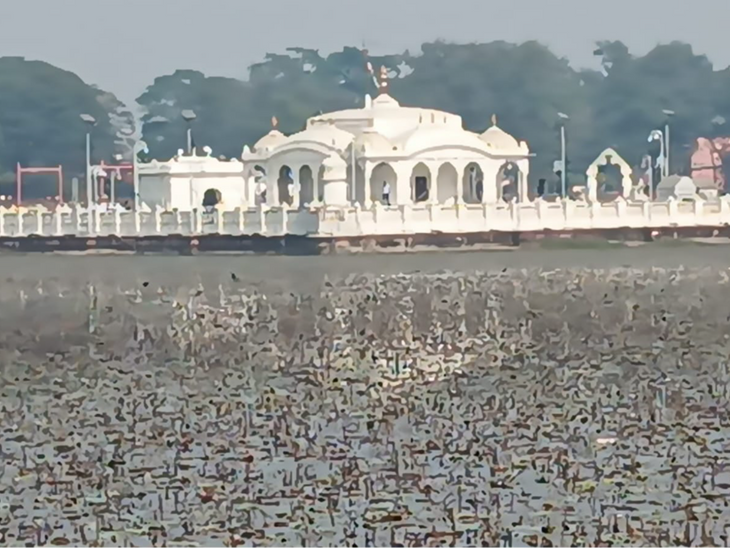 Padma Sarovar of Pawapuri becomes a refuge for migratory birds ...