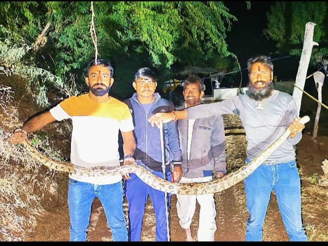 A 9 feet long python was pulled out from a 70 feet deep well | 70 फीट ...