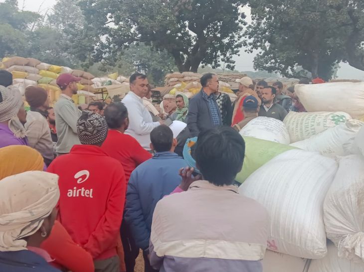 The collector inspected the Gauri rice center | कलेक्टर ने गौरी धान ...