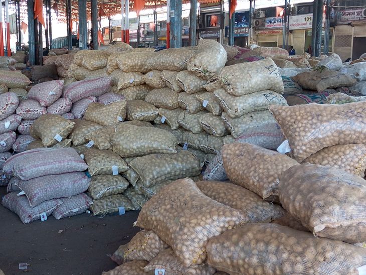 Demand for ration quality potatoes is weak in Indore | इंदौर में राशन ...