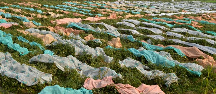 Problems increased due to cold, fog and pollution, vegetable crops were ...