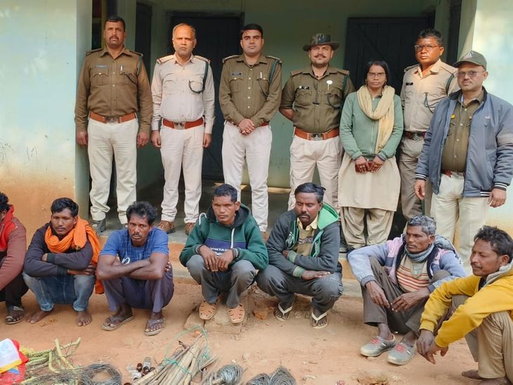 Seven hunters caught while trying to hunt in Anuppur | अनूपपुर में ...