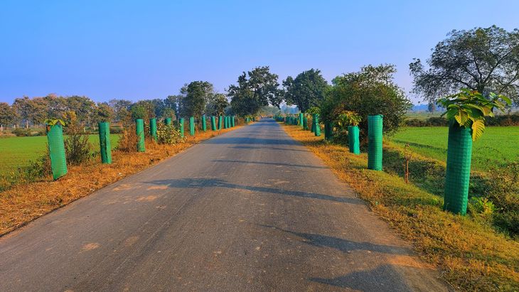 The youth of Suwala planted 2000 saplings around the village and formed ...