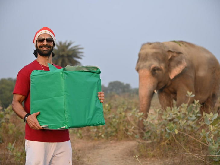 Actor Ashmit Patel celebrated Christmas with elephants and bears ...