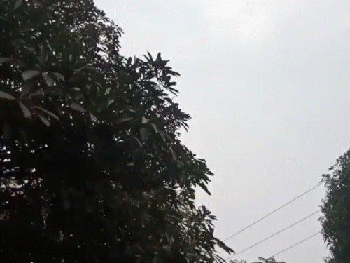 first winter rain in lucknow