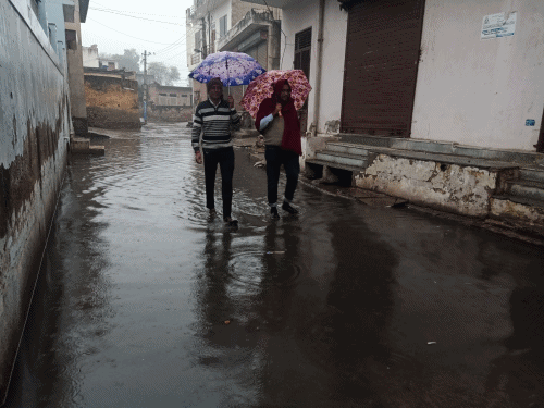 The period of Mawth started in Shrimadhopur | श्रीमाधोपुर में मावठ कौ ...