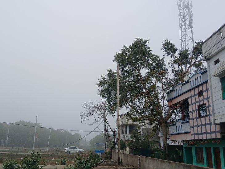 12 illegal colonies in Bhojpuriya of Pachor | पचोर के भोजपुरिया में 12 ...