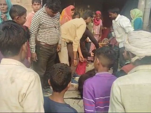 In Sitapur, a tiger attacked a buffalo and left it bleeding | सीतापुर ...