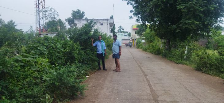 Thorny bushes between the welcome gate and Holi Chowk | स्वागत द्वार से ...
