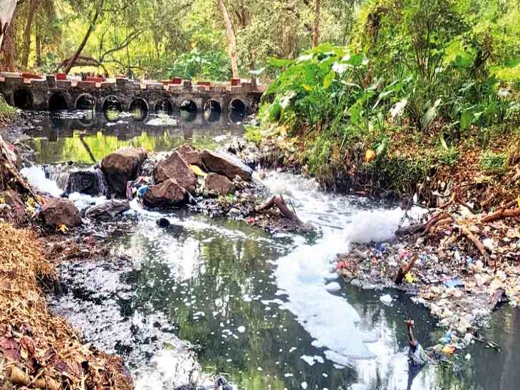 Only Rs 24 lakh budget for 50 acres of Ekant Park, that too going in ...