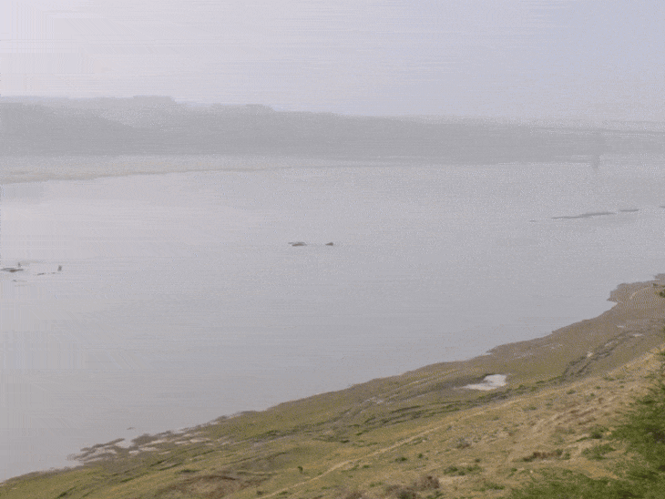 Bhind city in the grip of severe cold | भिंड में न्यूनतम तापमान 7 ...