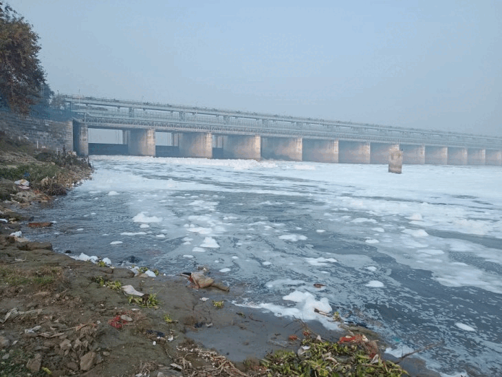 A view like snowfall was seen at Gokul Barrage in Mathura, Yamuna ...